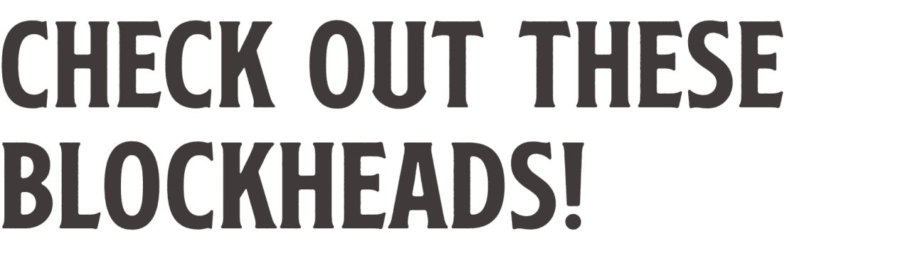 Campaigns | Blockhead Challenge